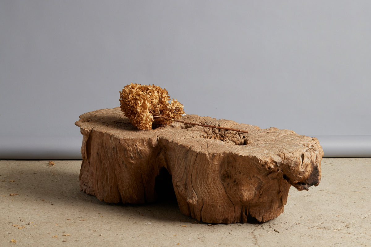 Ancient Natural Teak Coffee Table Bench – Michael Trapp