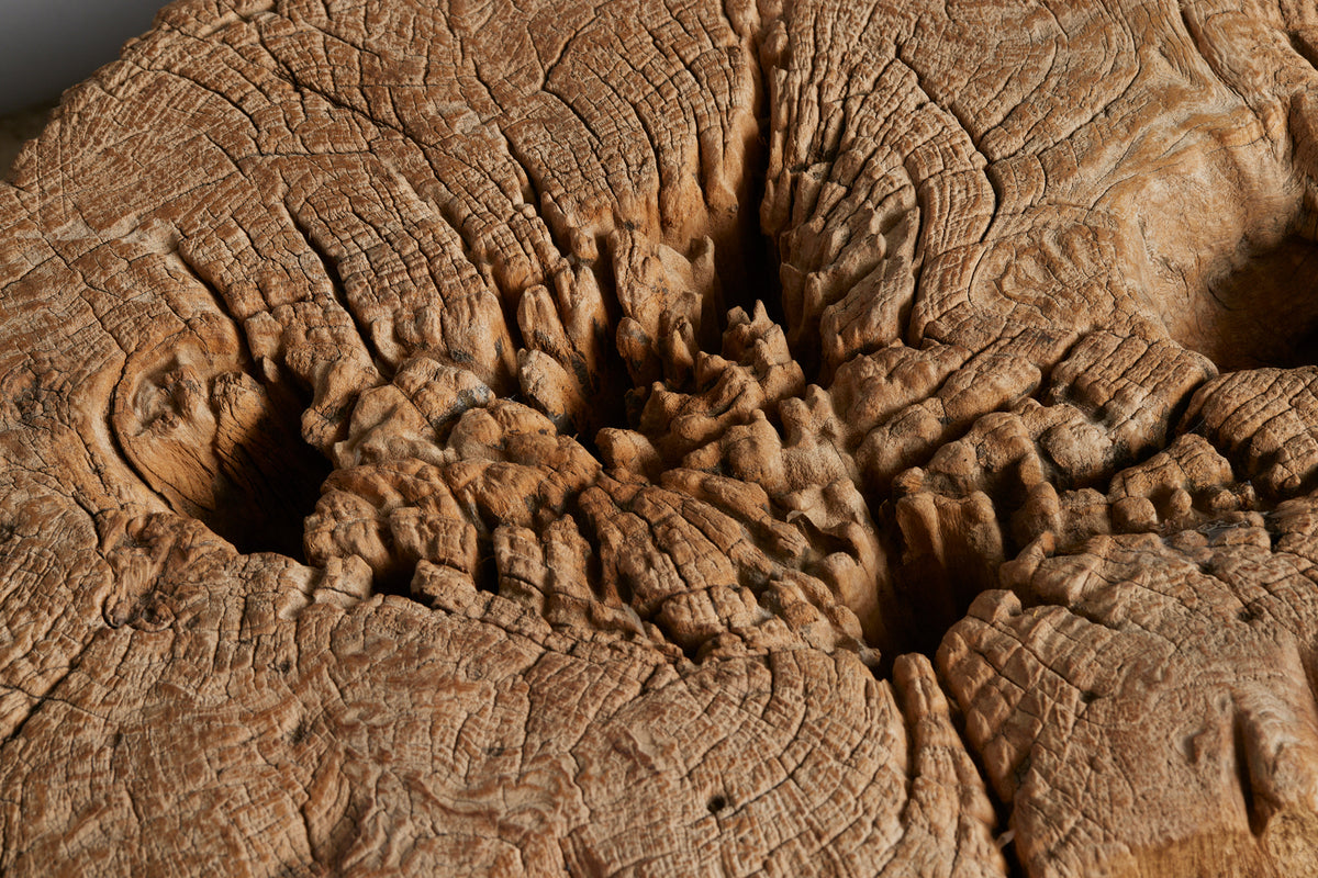 Ancient Natural Teak Coffee Table Bench – Michael Trapp