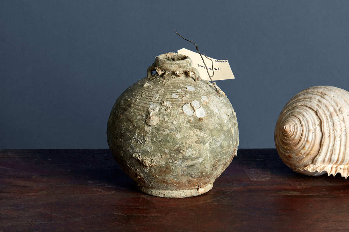 14th Century Sawankhalok Shipwreck Bottle – Michael Trapp