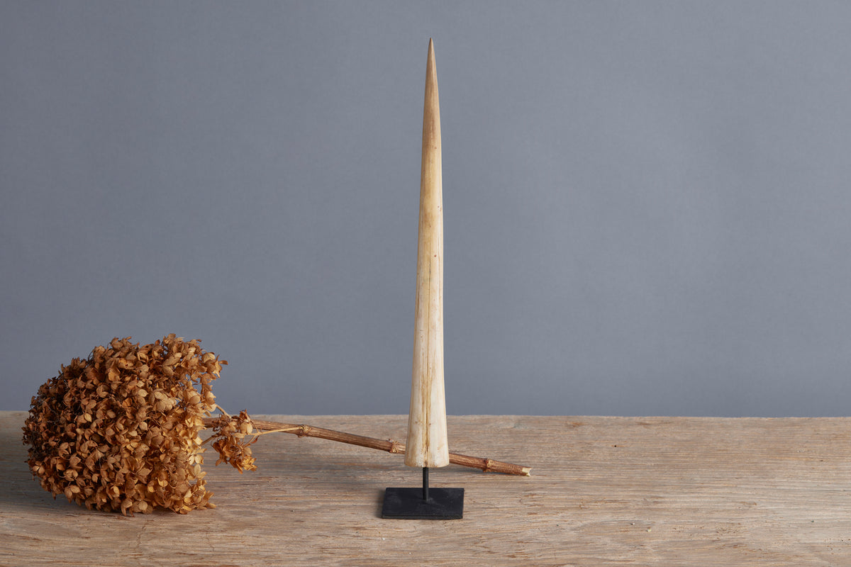 Mounted Marlin Bill – Michael Trapp